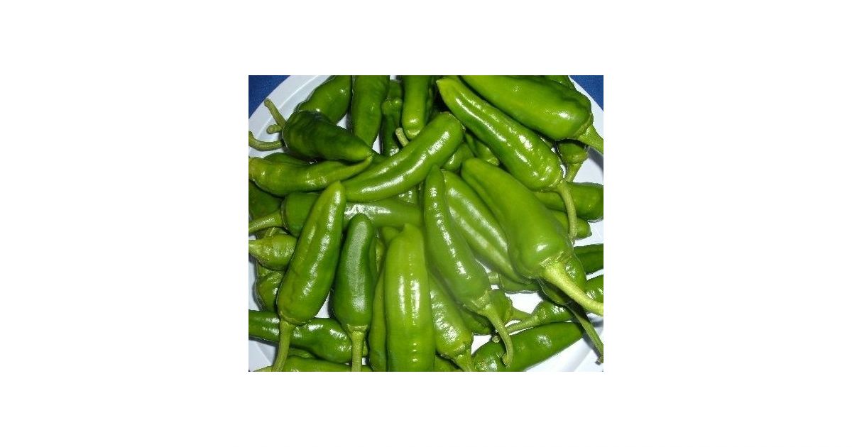 Feferoni FRIARIELLO/FRIGGITELLO - slatki | Ekološko organsko sjeme ...